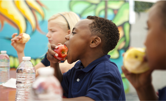 Providers Choice - USDA Food Program (CACFP) in Minnesota